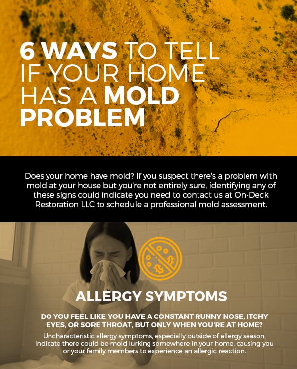 6 Ways to Tell if Your Home Has a Mold Problem [infographic] | On-Deck ...
